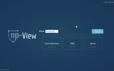 NP-View Demo | Network Perception